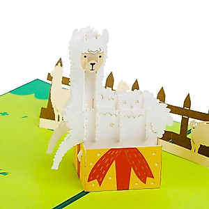 Ribbli Llama Handmade 3D Pop Up Card for All Occasion, Birthday Card, Thanksgiving Card, Christmas Card, Animal Card, Llama Gifts for Men Women Kids, with Envelope