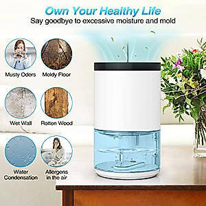 Lafhome Dehumidifier 35oz Small Dehumidifiers for Home 2200 Cubic Feet (220 sq ft) with 7 Colorful LED Light, Portable Quiet Mini Dehumidifier with Auto-Off for Bathroom, Bedroom, Basements, RV