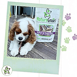 Nature Gnaws Mixed Bully Sticks for Small Dogs - Premium Natural Tasty Beef Bones - Simple Long Lasting Dog Chew Treats - Rawhide Free - 6 Inch