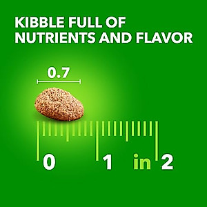 IAMS Proactive Health Healthy Weight Control Large Breed Adult Dry Dog Food with Real Chicken, 29.1 lb. Bag