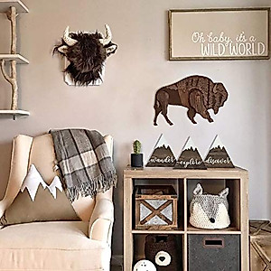 3pc Mountain Decor, Woodland Forest Decor for Nursery Wall Decor, Baby Decor for Nursery, Adventure Nursery Decor for Boy or Girl