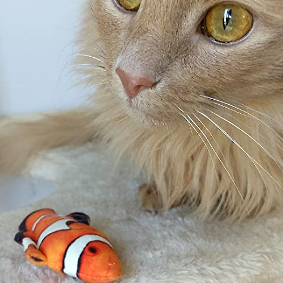 H&K Cat Toy | Clownfish | Plush Cat Toy with Catnip Inside | Funny Realistic Cat Gift | Fun, Durable, and Safe | Huxley & Kent Cat Toys