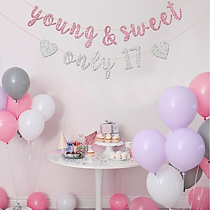 INNORU Young & Sweet Only 17 Banner - Happy 17th Birthday Party Decor for Girls - Cheers to 17 Years Party Decorations Supplies, Pink & Silver Glitter