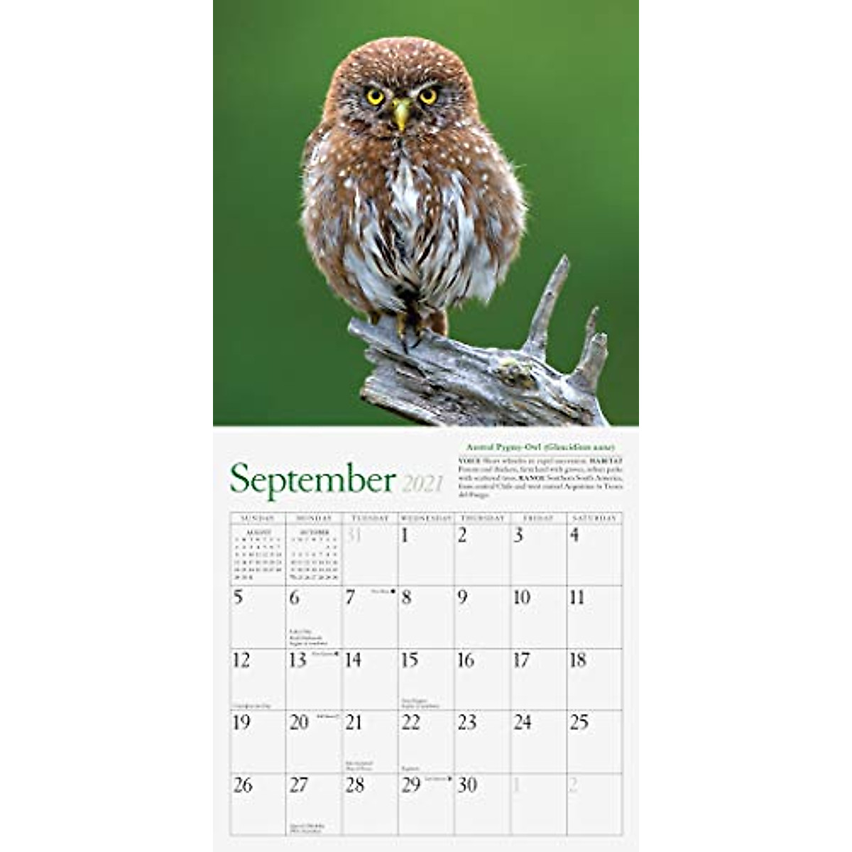 Audubon Little Owls Mini Wall Calendar 2021