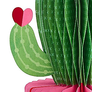 Hallmark Paper Wonder Pop Up Valentines Day Card (Cactus)