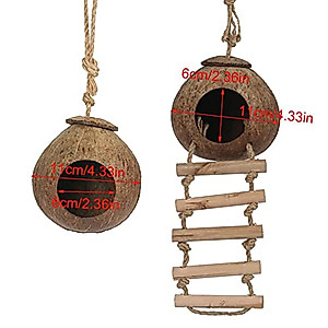 EastVita Coconut Bird Nest Hut with Ladder Hanging,Hanging Coconut Bird House Parrot Natural Coconut Shell Bird Nest Hideout House Playpen for Pet Parrot Budgies Parakeet Lovebird Finch Canary