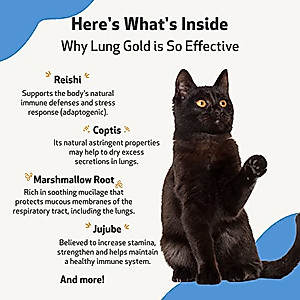 Pet Wellbeing Lung Gold for Cats - Vet-Formulated - Lung & Respiratory Immune Support, Open Airways, Easy Breathing - Natural Herbal Supplement 2 oz (59 ml)