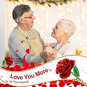 Anniversary Gi fts for Her| Wife, Wife Gift Set with Crystal Engraved Heart, 24K Gold Dipped Rose, Wine Tumbler, Wife Gifts for Anniversary & Birthday