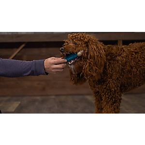 HERO | Bonetics Dental Bone | Dog Bones | Puppy Bones | Designed for Medium Dogs Up to 45 lbs (Mint Flavor)