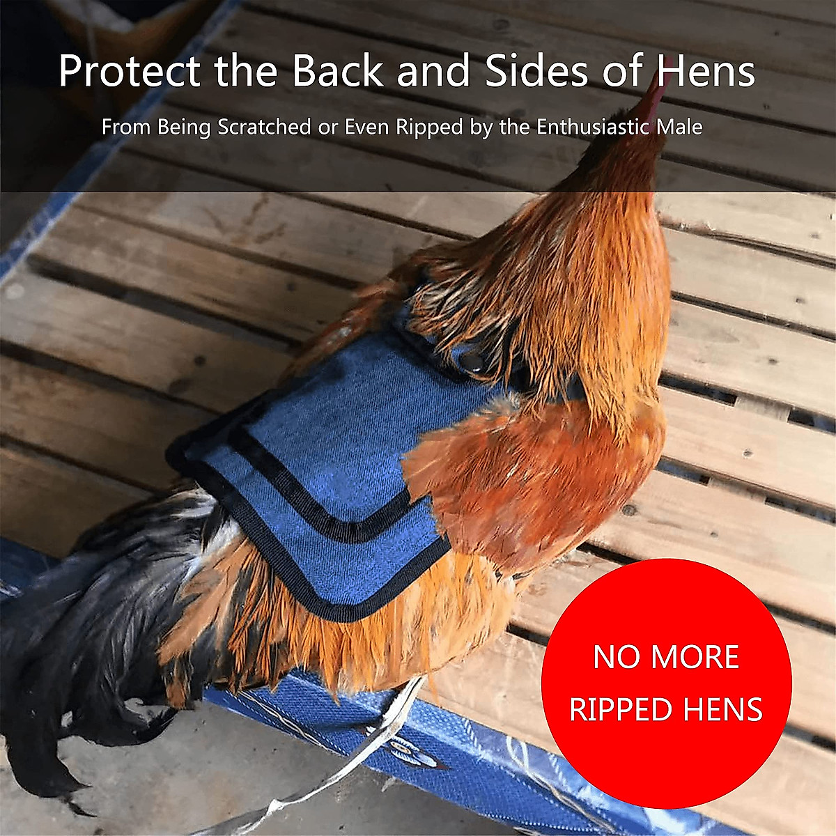 3 Pieces Premium Chicken Saddles with Adjustable Strap, Hen Saddle Sweater Clothes, Birds Protector for Back and Sides, Poultry Accessories for Hens, Suitable for 5-7.6lbs, Red & Blue & Purple