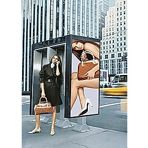 Louis Vuitton: The Birth of Modern Luxury Updated Edition