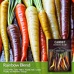 Survival Garden Seeds - Rainbow Blend Carrot Seed for Planting - Packet with Instructions to Plant and Grow White, Yellow, Red, Orange & Purple Carrots in Your Home Vegetable Garden - Non-GMO Heirloom