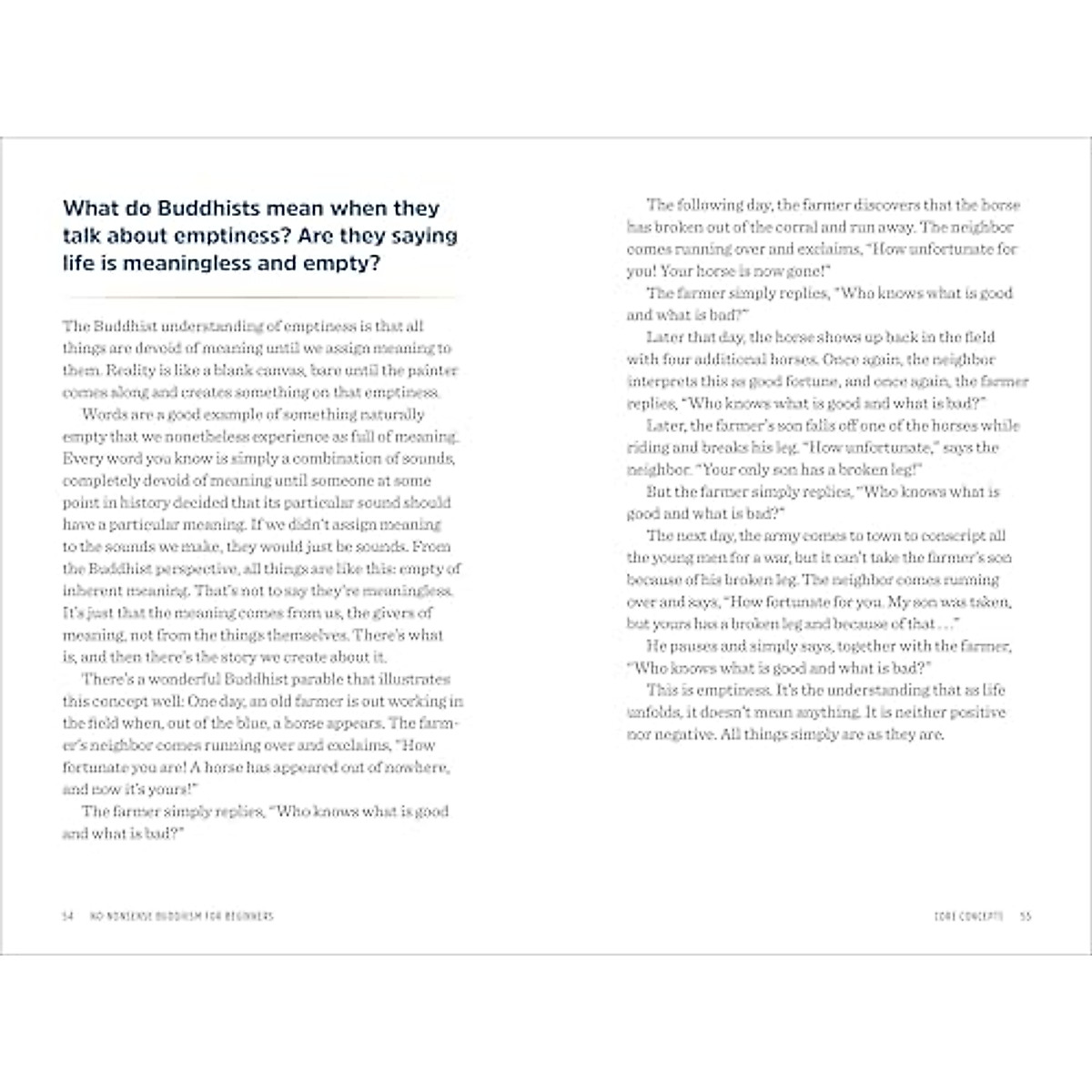 No-Nonsense Buddhism for Beginners: Clear Answers to Burning Questions about Core Buddhist Teachings