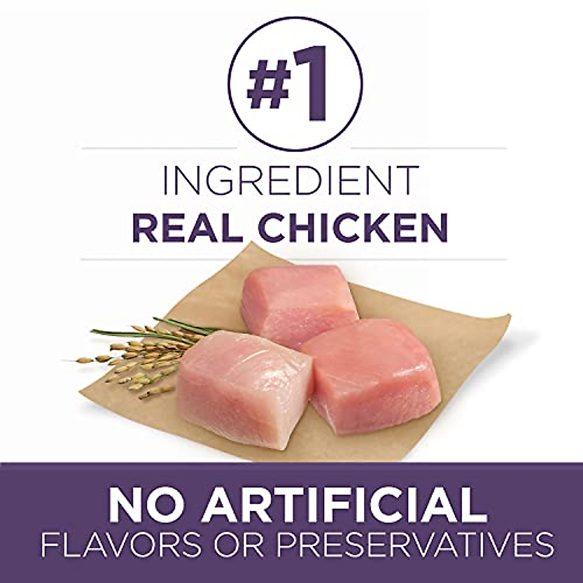 Purina ONE High Protein Dry Senior Dog Food Plus Vibrant Maturity Adult 7 Plus Formula - 31.1 lb. Bag