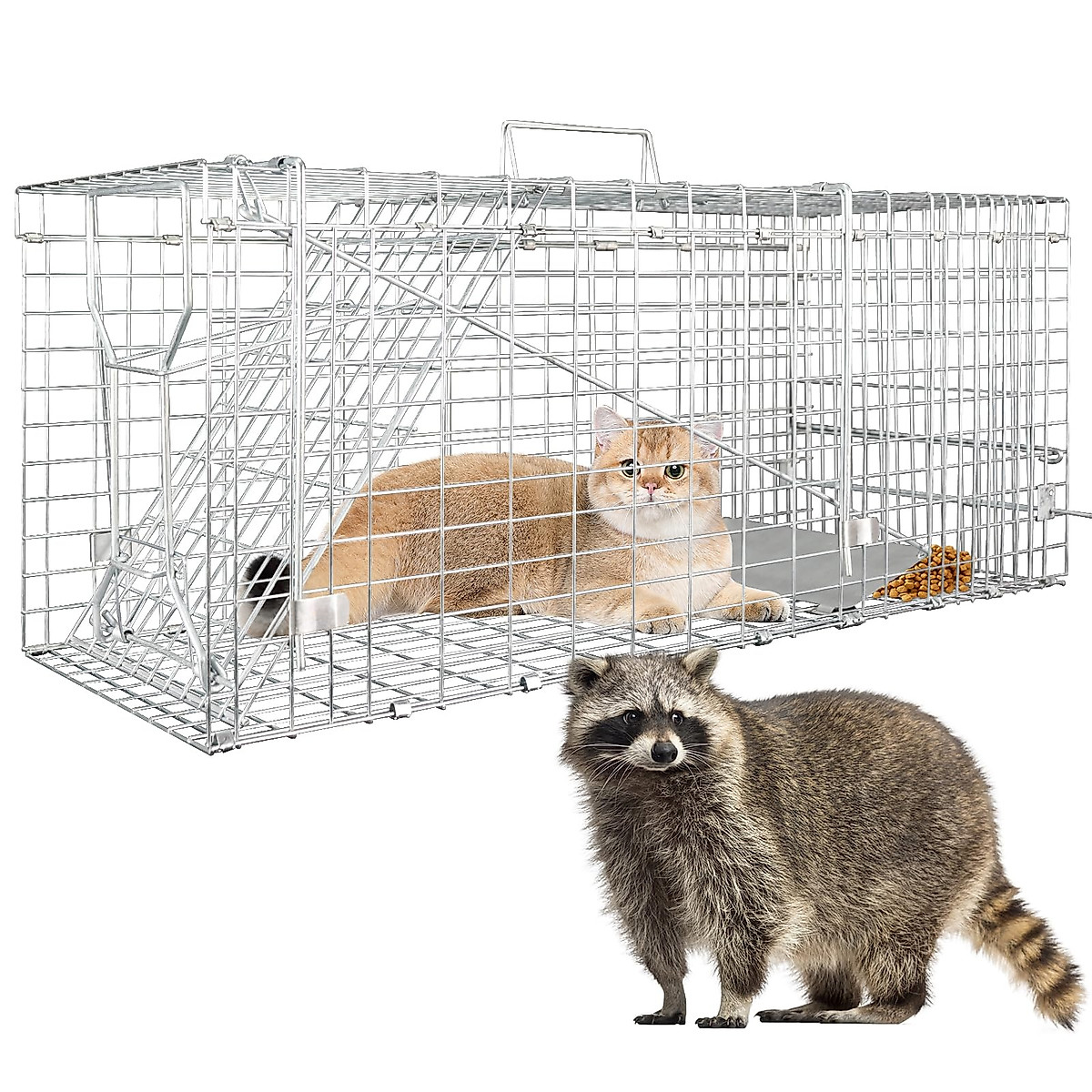 Live Animal Trap for Possum, Groundhog,Gopher,Beaver,Folding Raccoon ...