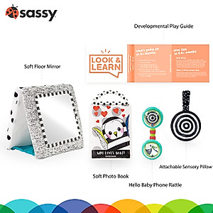 Sassy Look & Learn Baby Box - 0+ Months