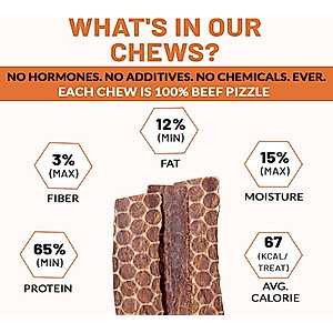 PETSamba 6-Inch Flat Beef Jerky Chews – 20-Pack, All-Natural Beef Esophagus Treats, Highly Digestible, Ideal for Dogs, Grain-Free & Non-GMO