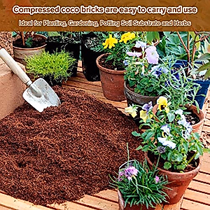 Legigo Pack of 10 Organic Coco Coir Bricks- 100% Natural Compressed Coco Peat Brick Coconut Fiber Substrate with Low EC&pH Balance, Coir Plant Soil Enhance Root Growth for Herbs, Flowers, House Plants