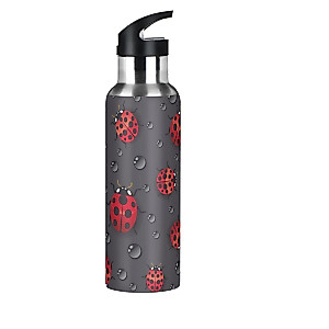xigua Ladybug Water Bottle Double Walled Stainless Steel Leak Proof Thermo Flask for Sports Gym Cycling Outdoor,20 oz.