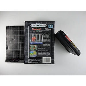 Sword of Vermilion - Sega Genesis