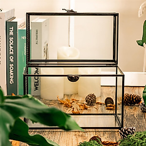 NCYP 9.8 x 5.6 x 7.7 Inch Glass Card Box with Lid for Wedding Reception, Envelope, Keepsake - Vintage Terrarium Container, Clear Party Centerpiece, Black (Glass Box Only)