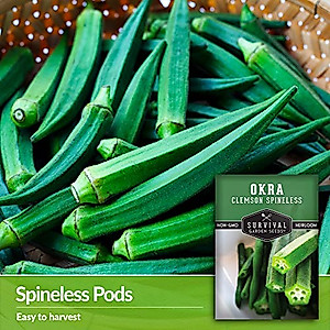 Survival Garden Seeds - Clemson Spineless Okra Seed for Planting - Packet with Instructions to Plant and Grow Tender and Large Okra in Your Home Vegetable Garden - Non-GMO Heirloom Variety