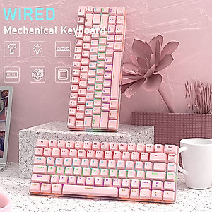FELICON Wired Mechanical Gaming Keyboard, 82 Keys Compact Rainbow Blacklight Keyboard with Blue Switch, Small and Portable Compatible with Windows PC Laptop Mac Game Office