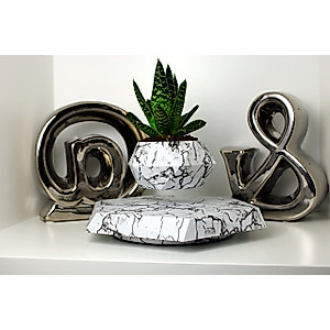 BandD Plant Pot for Succulents, air Bonsai & air Plants. Planter for Home, Office & Desk Decor. Magnetic Floating Levitating Display. (Marble)