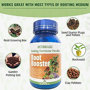 MetaMagic Rooting Hormone for Cuttings Root Stimulator for Plants IBA Rooting Powder for Plant Cuttings Willow Tea Water Rooting Hormone for Plant Cuttings Root Booster for Plants - 3OZ