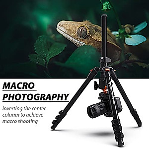 GEEKOTO 64" Camera Tripod, Compact Aluminum Tripod with 360 Degree Panorama Ball Head 1/4 inch Quick Release Plate, DSLR Tripod Suitable for SLR Cameras