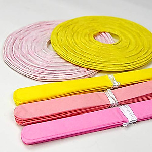 HappyField Sunshine First Birthday Decorations You Are My Sunshine Party Decorations Baby Shower Decorations Yellow Pink Tissue Pom Poms Paper Lantern for Wedding Bridal Shower Sunshine Party Supplies