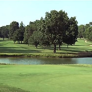 Outsidepride Crystal Bluelinks Creeping Bent Grass Putting & Golf Green Seed - 1 LB