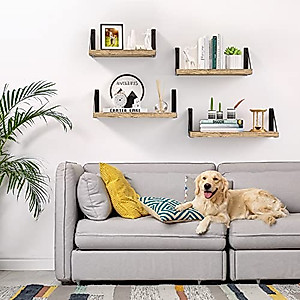 DECOSIS Floating Shelves Wall Mounted 4Pack, Shelves for Wall Decor, for Bedroom, Living Room, Shelves for Wall Storage, Bathroom Wall Shelves, Small Kitchen Shelf, Carbonized Black