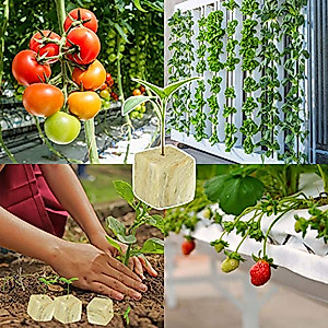 Halatool 1.5 Inch Garden Rockwool Stonewool, Rockwool Grow Cubes, 4 Sheets Starter Plugs for Soilless Cultivation, Seedlings Cuttings, Clone Plants, Hydroponics Germination Start (196 Plugs in Total)