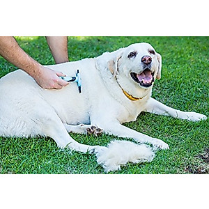 Pet Grooming Dog & Cat Brush For Shedding, Effective for Long & Short Hair Pet Grooming Tool, Reduces Dogs and Cats Shedding Hair By More Than 95%, The Professional Deshedding Tool