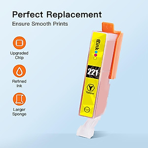 E-Z Ink (TM Compatible Ink Cartridge Replacement for Canon PGI220 PGI-220 CLI221 CLI-221 to use with MX870 MX860 MP620 MP560 MP980 (4 Large Black, 4 Cyan, 4 Magenta, 4 Yellow, 4 Small Black) 20 Pack