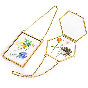 AVLA 3 Pack Pressed Flowers Glass Frames, Brass Hanging Picture Frames with Chain, Small Golden Floating Photo Frame, Clear DIY Artwork Display Frame for Wall Decor, Dried Plant Specimen