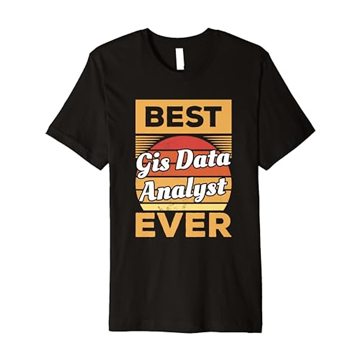 Vintage Best GIS Data Analyst Ever Premium T-Shirt