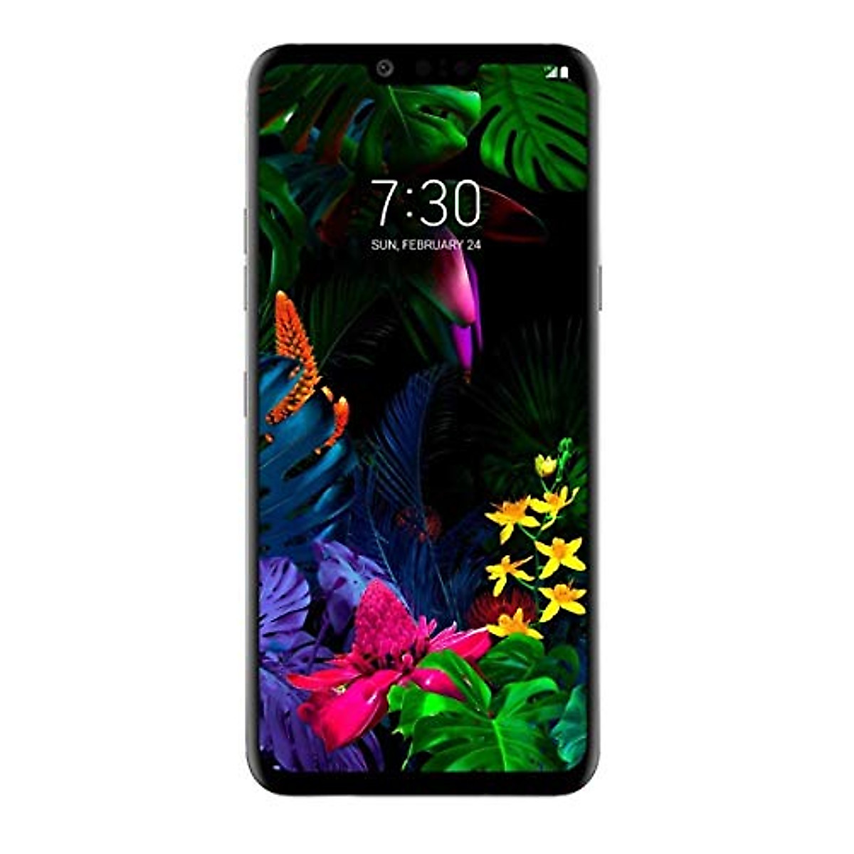 LG G8 ThinQ (G820) 128GB GSM Unlocked Smartphone (AT&T/T-Mobile/Cricket/Simple Mobile / H2O / Mint) - Platinum Gray (Renewed)