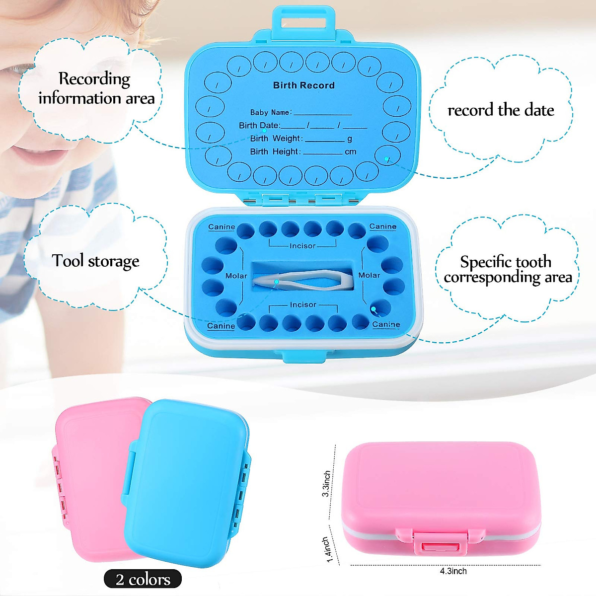 2 Pieces Baby Keepsake Tooth Box PP Baby Teeth Storage Holder Fairy Tooth Boxes Saver First Tooth Collection Container for Boys and Girls (Pink with Purple, Blue)