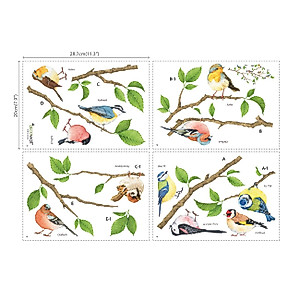 DECOWALL DS-8036 Garden Birds Kids Wall Stickers Wall Decals Peel and Stick Removable Wall Stickers for Kids Nursery Bedroom Living Room (Small) d?cor