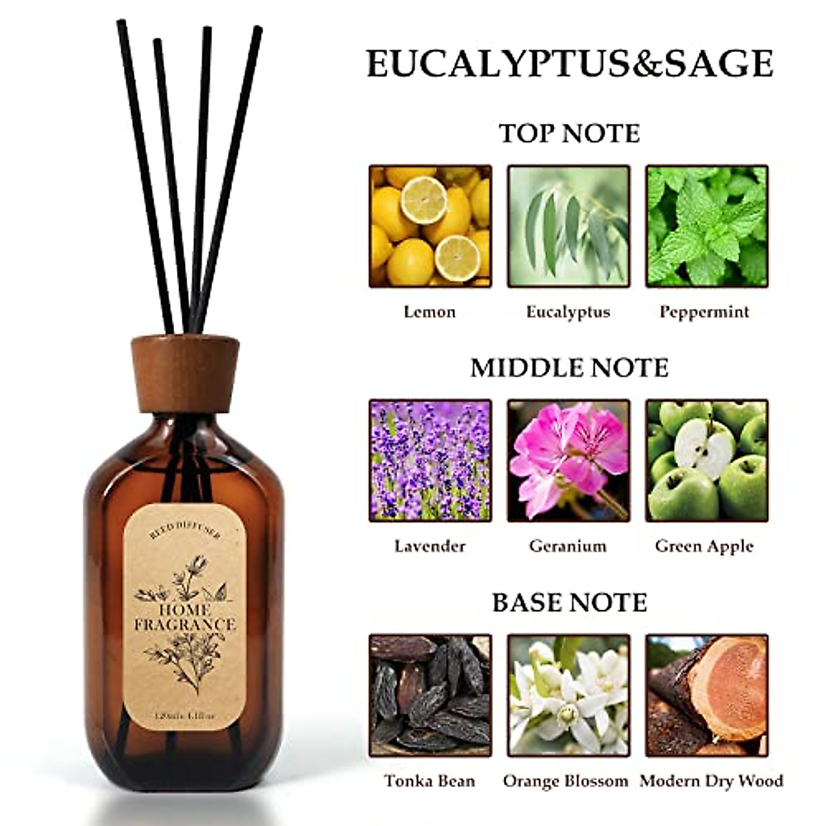 Reed Diffuser, Fragrance Diffuser for Home Scented, Reed Diffuser Set with 6 Reed Diffuser Sticks, Home Fragrance Products Eucalyptus&Sage 4.1 oz