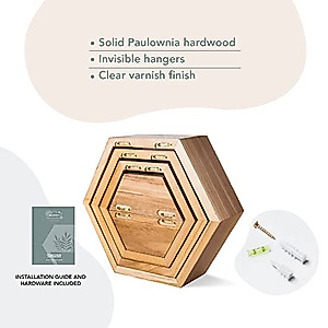 voohom Hexagon Floating Shelves – Set of 3 – 2 Wooden Plant Pots – Honeycomb Floating Shelves – Geometric Hexagon Shelves – Honeycomb Decor - Mounting Accessories Included