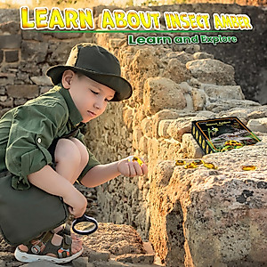 Amber Dig Kit-Artificial Insect Resin, Excavate 6 Insects Specimens, STEM Geographic Educational Bugs Toys, Excavation Toys Science Kit for Fun Bugs Party Favors, Bug Collection Kit for Kids Age 6+