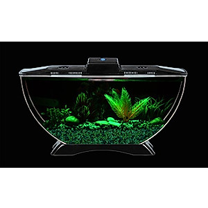 BettaTank 1-Gallon Deco Fish Tank with LED Lighting