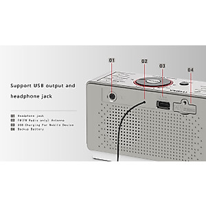iTOMA Alarm Clock Radio with Bluetooth Speaker, FM Radio, Dual Alarm with Snooze, Large LED Display, Dimmer Control, USB Charging Output and Night Light CKS708