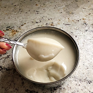 Cultures for Health Vegan Yogurt Starter Kit | 7 Piece DIY Kit Includes 4 Packets Dairy Free Yogurt Culture, Pectin Powder, Cooking Thermometer, & Cotton Nut Milk Bag | Make Yogurt w/Plant Based Milk