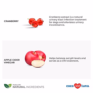 Cranberry for Dogs - 300 Chewable Tablets - Urinary Tract Support, Bladder Support for Dogs, Dog UTI, Bladder Stones, Dog Incontinence Support, Cranberry Supplement for Dogs