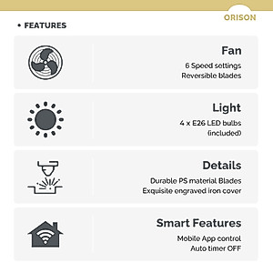 Orison 20 Inch Caged Ceiling Fan with Light, Black, 6 Speeds, Timer, Reversible Motor, Industrial Low Profile Ceiling Fan for Living Room, Bedroom, Kitchen