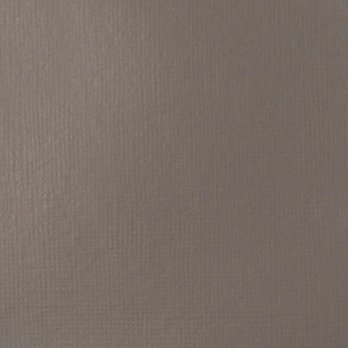 Liquitex BASICS Acrylic Paint, 250ml (8.5-oz) Tube, Neutral Gray Value 5